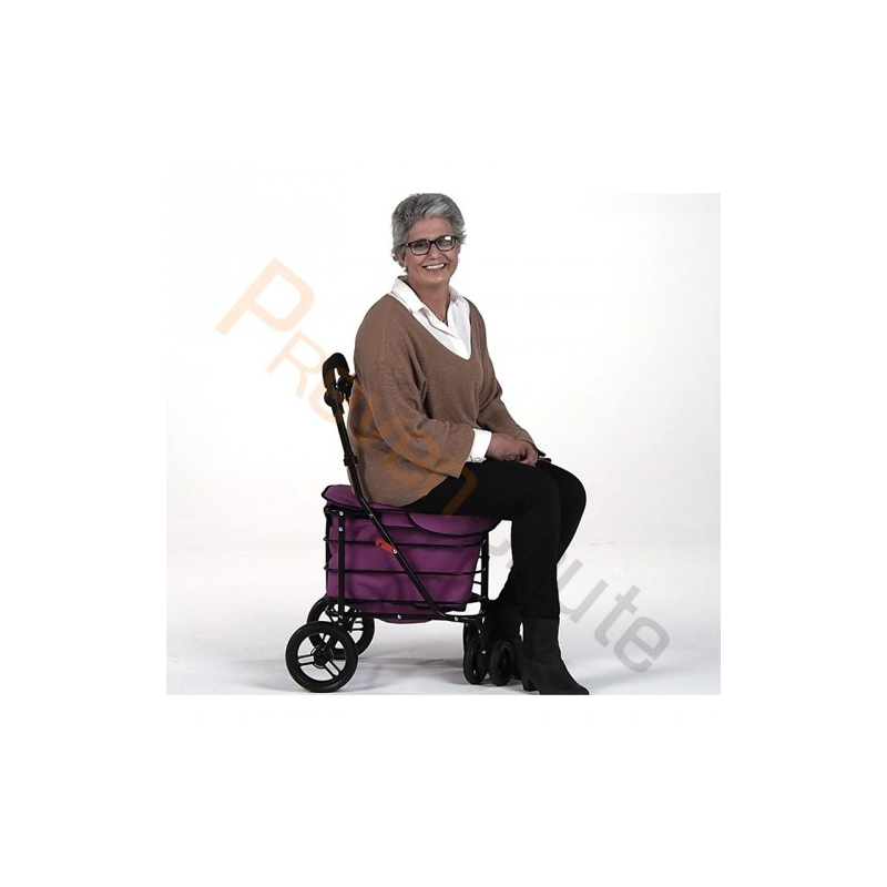 Rollator de course Carlett 700